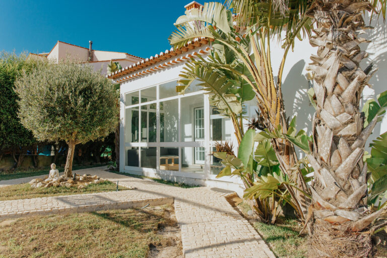 Included and excluded services